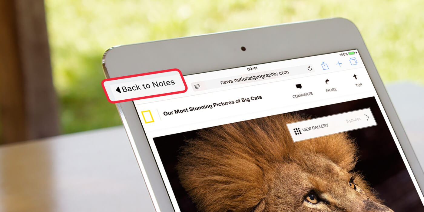 Back button: return to the last app | iOS 11 Guide [iPad] - TapSmart
