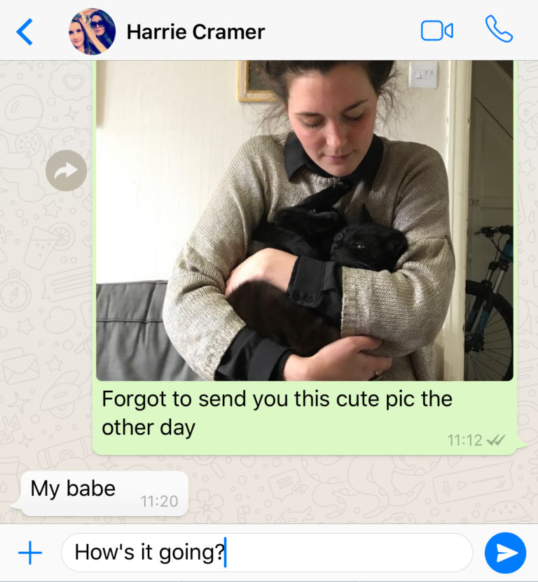 WhatsApp 101: a beginner's guide to the messaging app - TapSmart
