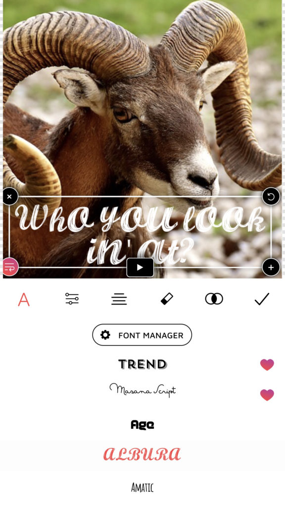 Review: Font Candy Photo Editor - Create beautiful designs in seconds ...