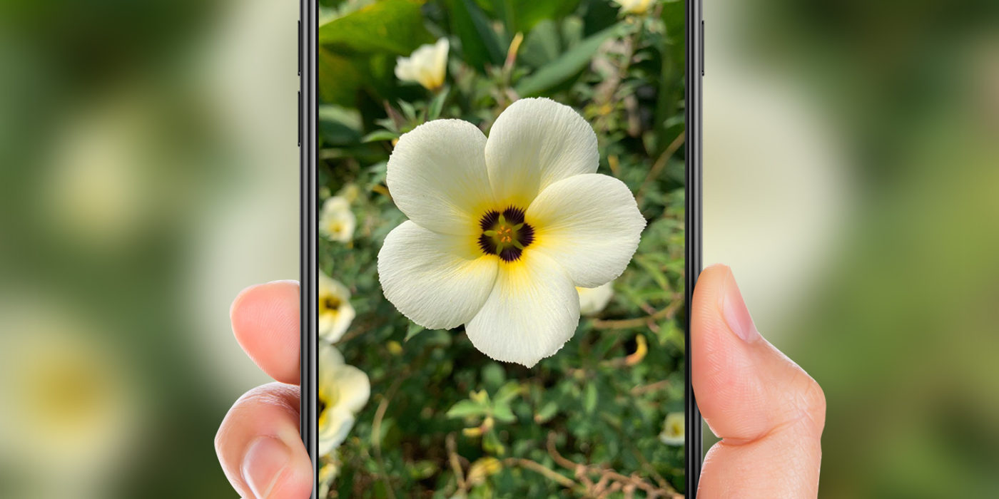 Depth control: amazing portraits shot on iPhone - TapSmart
