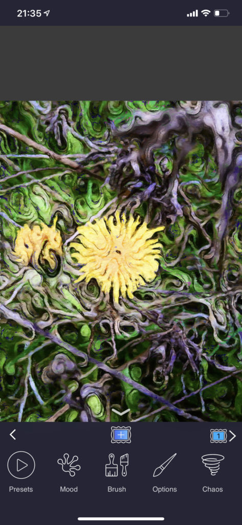 Creative photo filters – transform your snaps with these apps - TapSmart