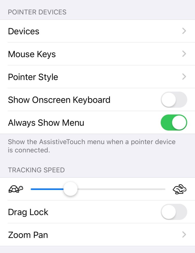 Pointers in iOS 13 – How to use a mouse or trackpad - TapSmart