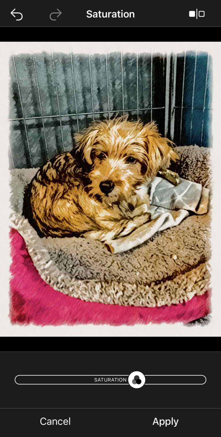 Graphite by Becasso – create bespoke photo art - TapSmart