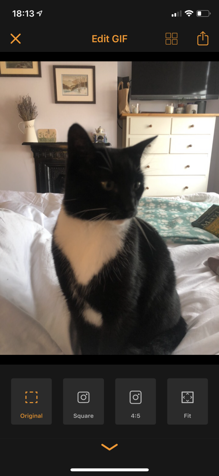 GIF Maker – How to make your own GIFs - TapSmart