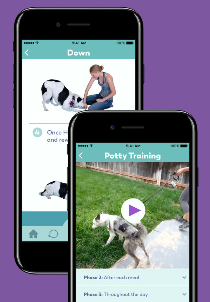 Dog training apps – 5 of the best for man's best friend - TapSmart