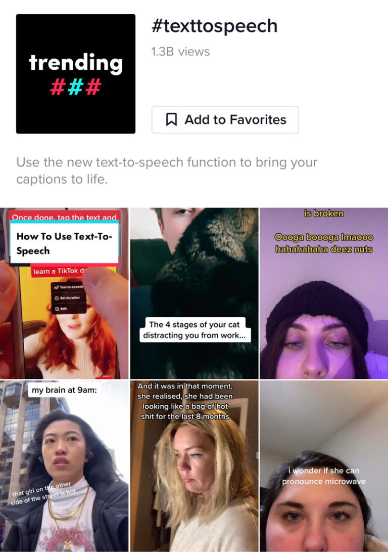 Ditty.it alternatives – best apps to replace the defunct Ditty - TapSmart